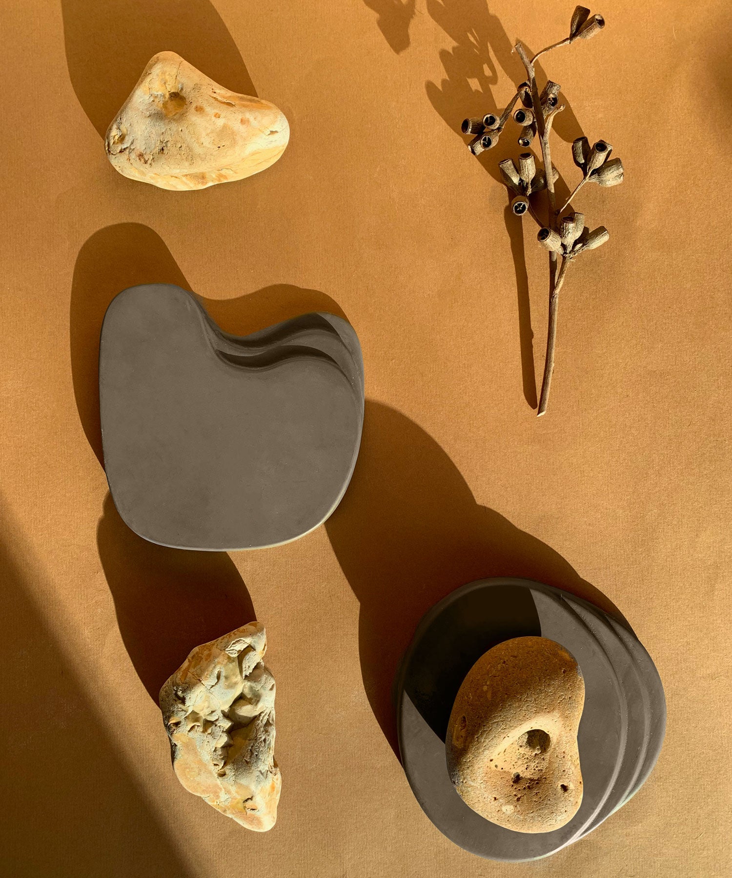 Lava – Amanita Labs