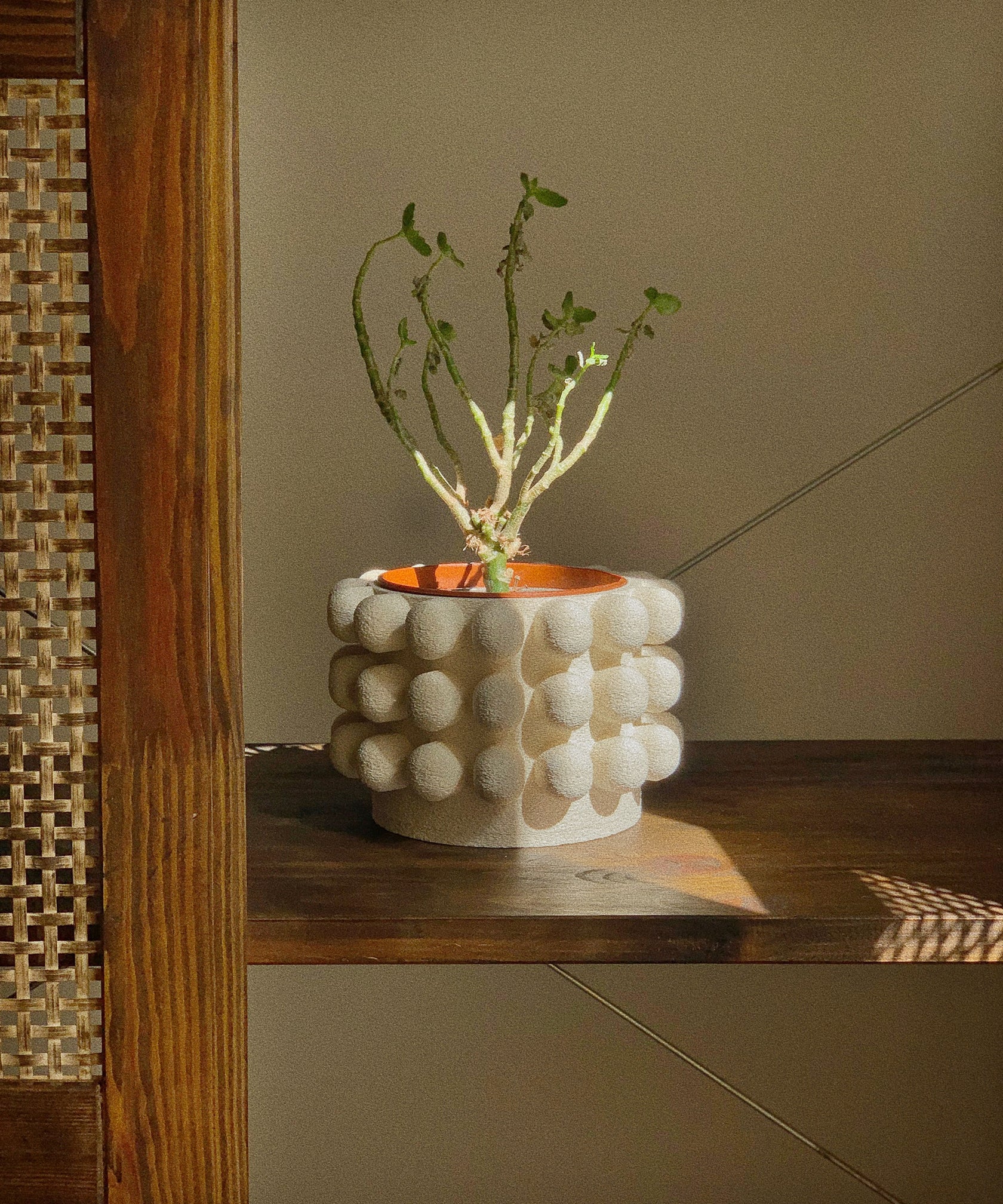 Mono | Plant Pot 02 | Sandstone – Amanita Labs