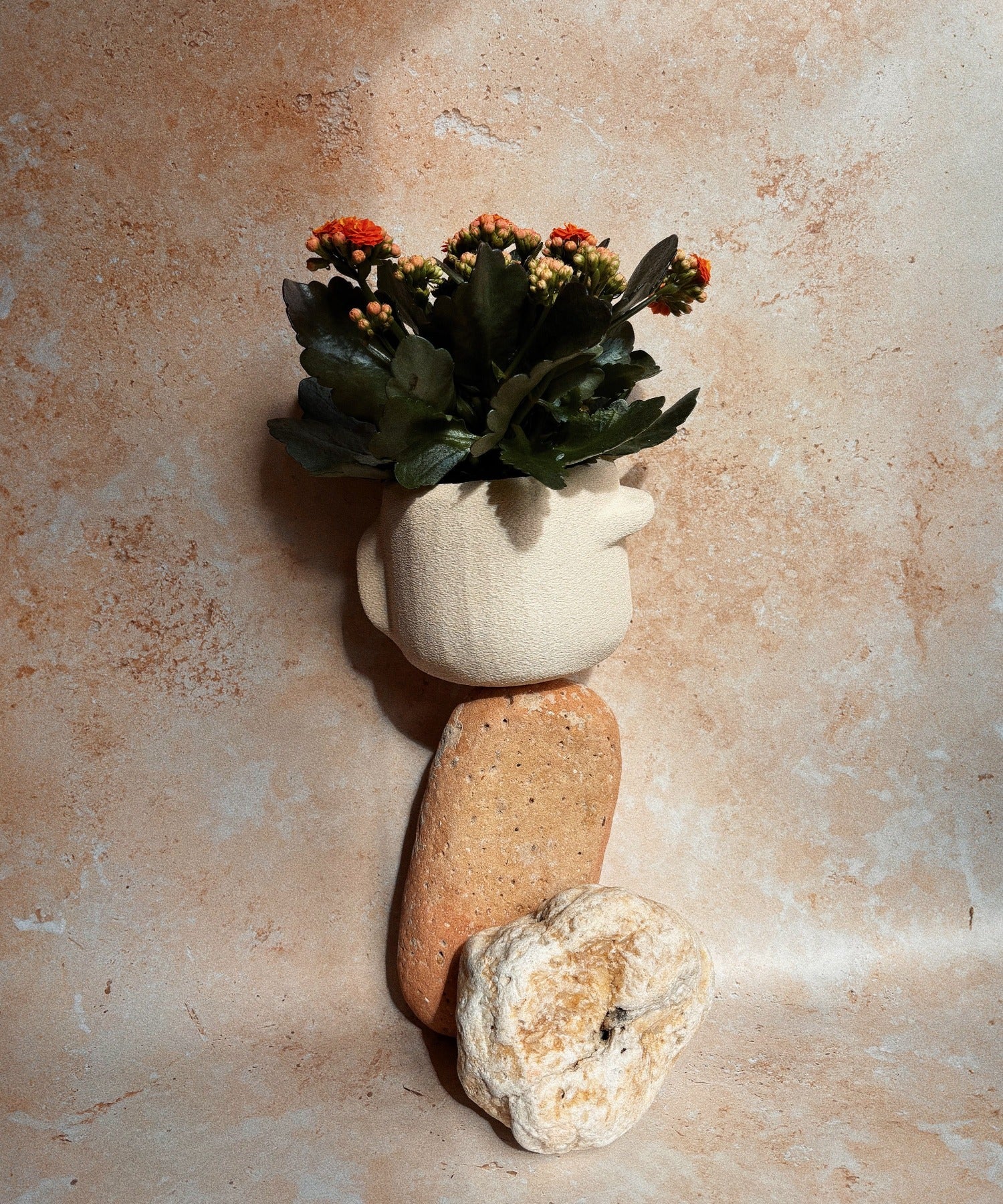 Nova | Plant Pot 01 | Sandstone – Amanita Labs
