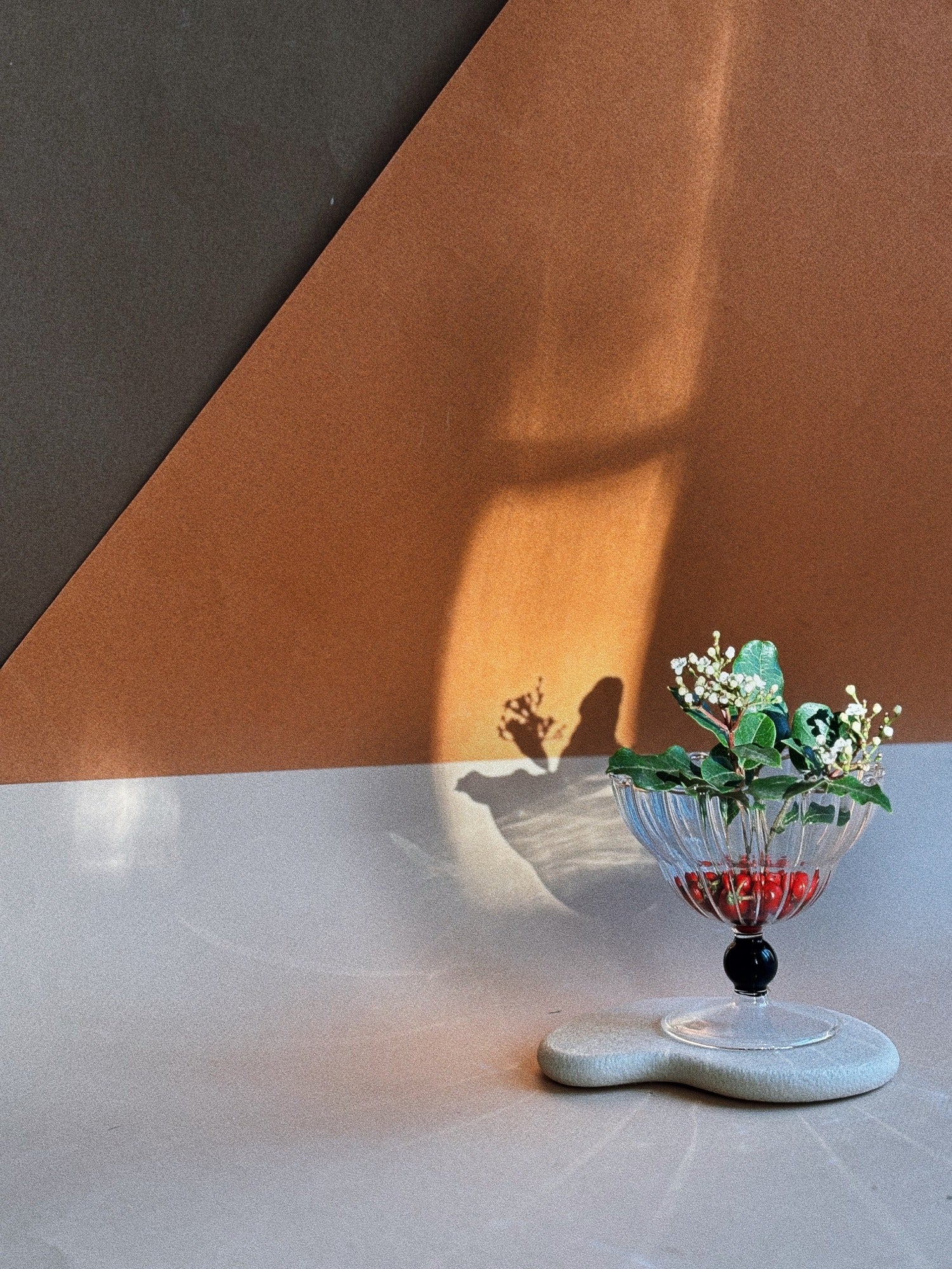 Teth | Coasters 01 | Sandstone – Amanita Labs