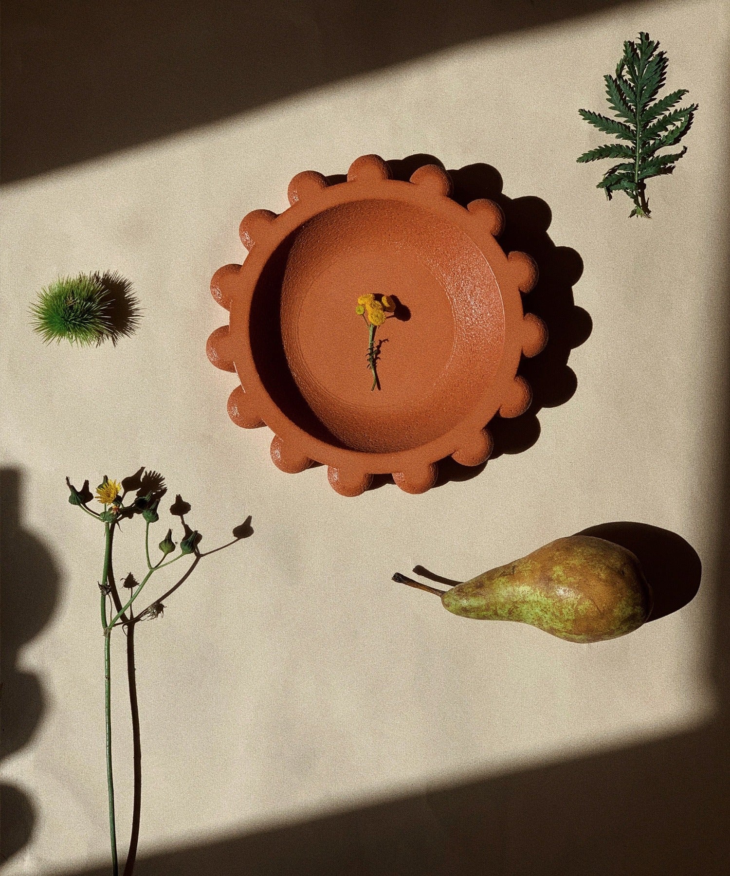 Mono | Ornament Tray 01 | Burnt Ochre – Amanita Labs